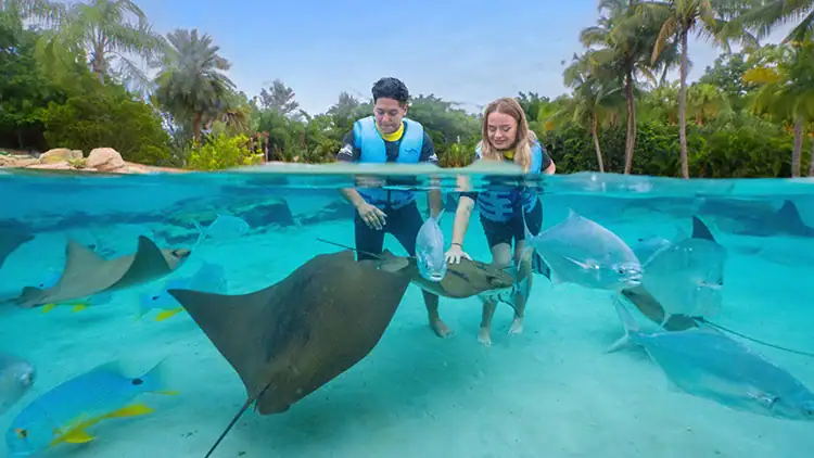 Discovery Cove Hours 2026: How the Reservation Day Works | Deep Arrival