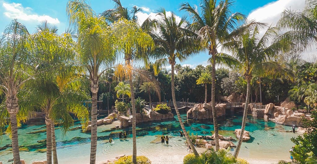 Discovery Cove Orlando: Tickets, Dolphin Swim, and What's Included ...