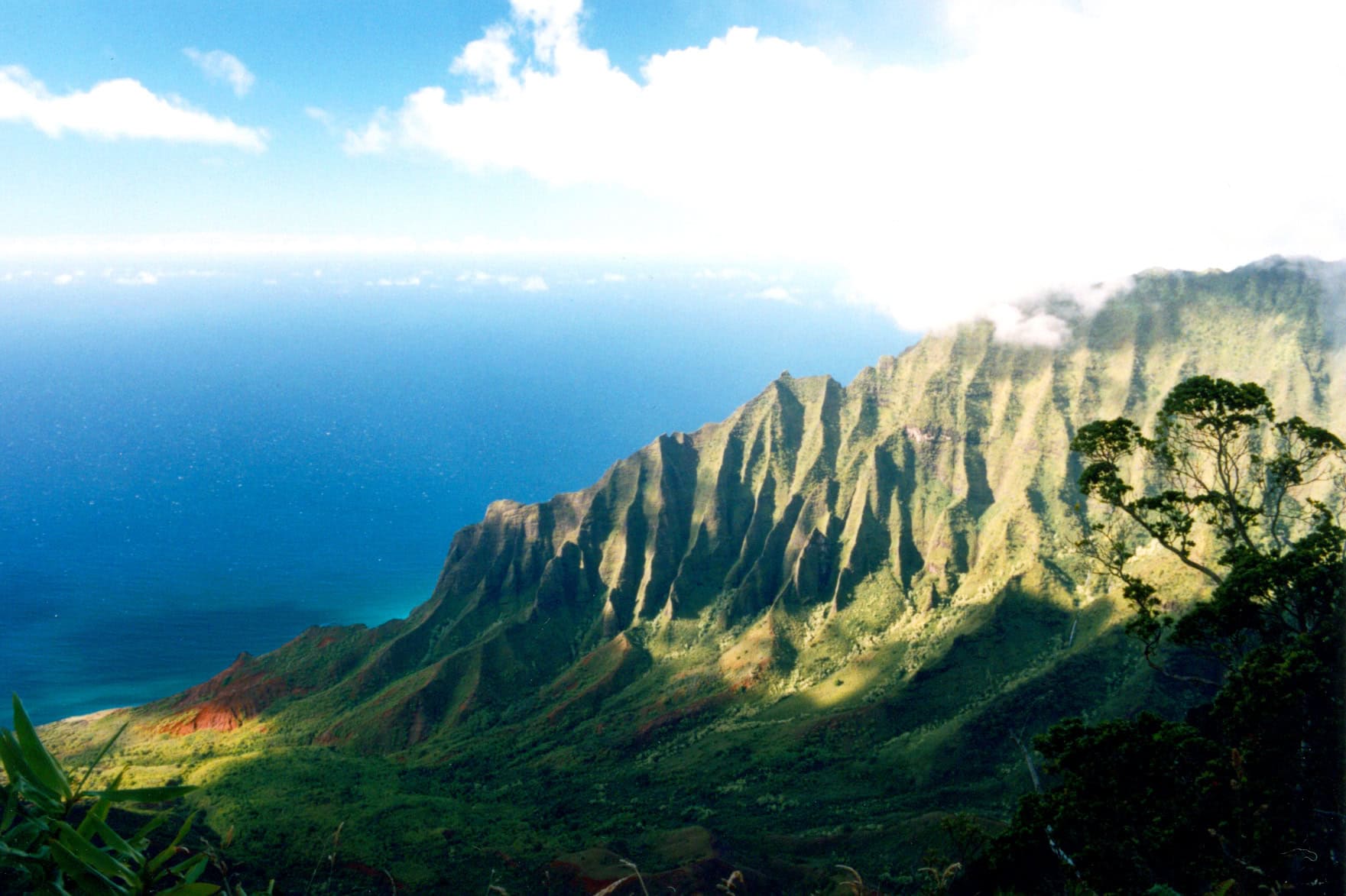 Best Time to Visit Hawaii in 2026: Month by Month